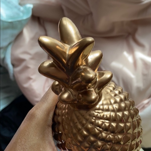 Other | Spray Painted Rose Gold Pineapple | Poshmark